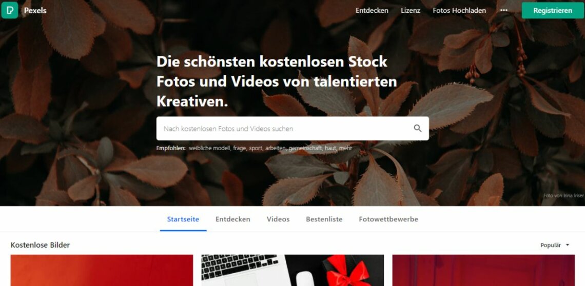 Pixabay Alternative: 15 Pixabay-Alternativen im direkten Vergleich ...